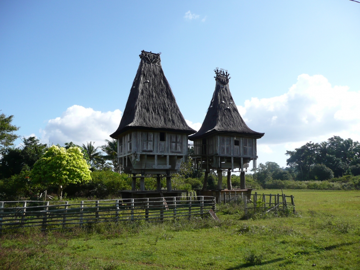 Timorese Culture | Timor Plaza Hotel
